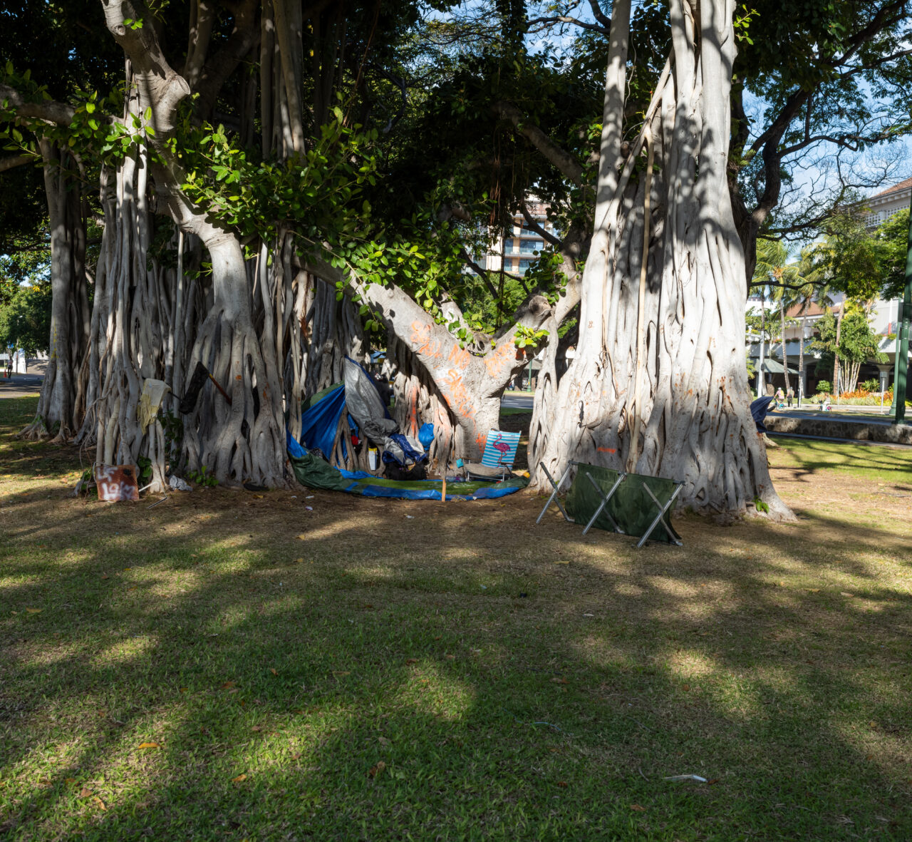 Hawaii's Immense Homeless Problem - Tom Barefoot